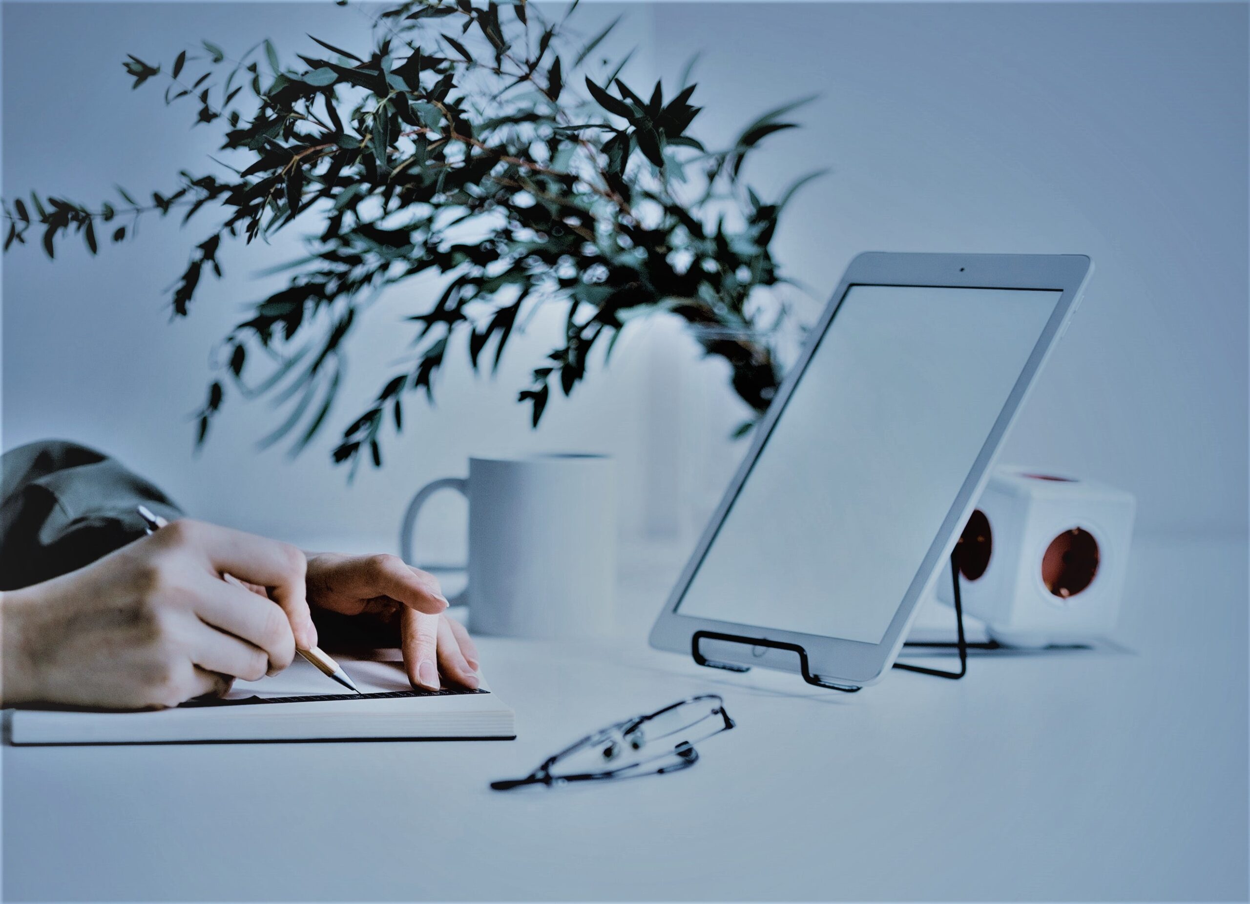 Rhawv Haiv Application | HMONG STATE